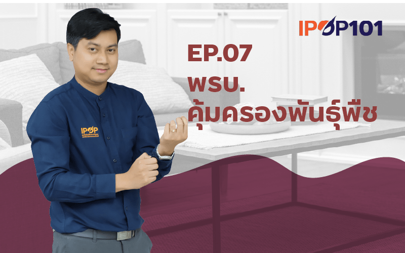 IP – Elearning 101 EP.07 พรบ.คุ้มครองพันธุ์พืช